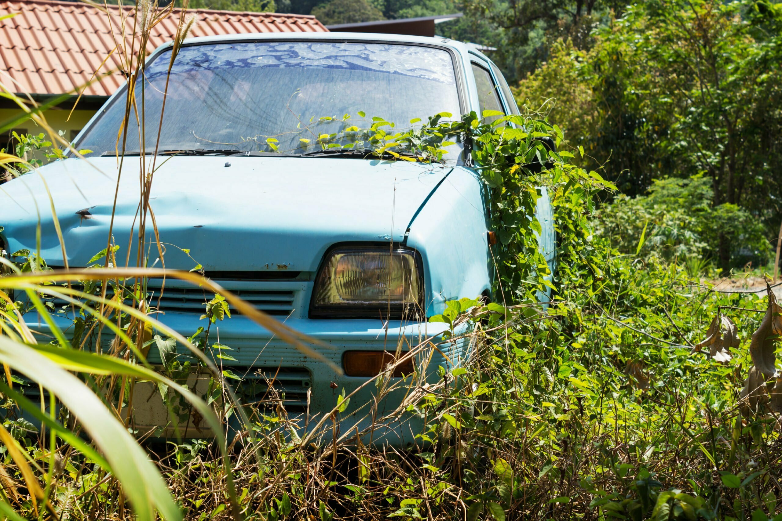 Abandoned Vehicle On My Property: What Are My Next Steps? - Titan Towing